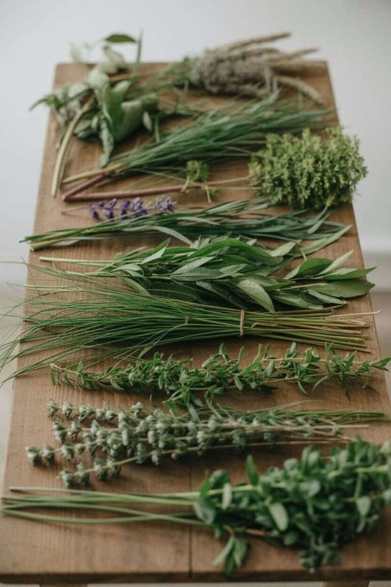 10 Essential Plants That Animals Eat: From Pasture to Wild Forage ...